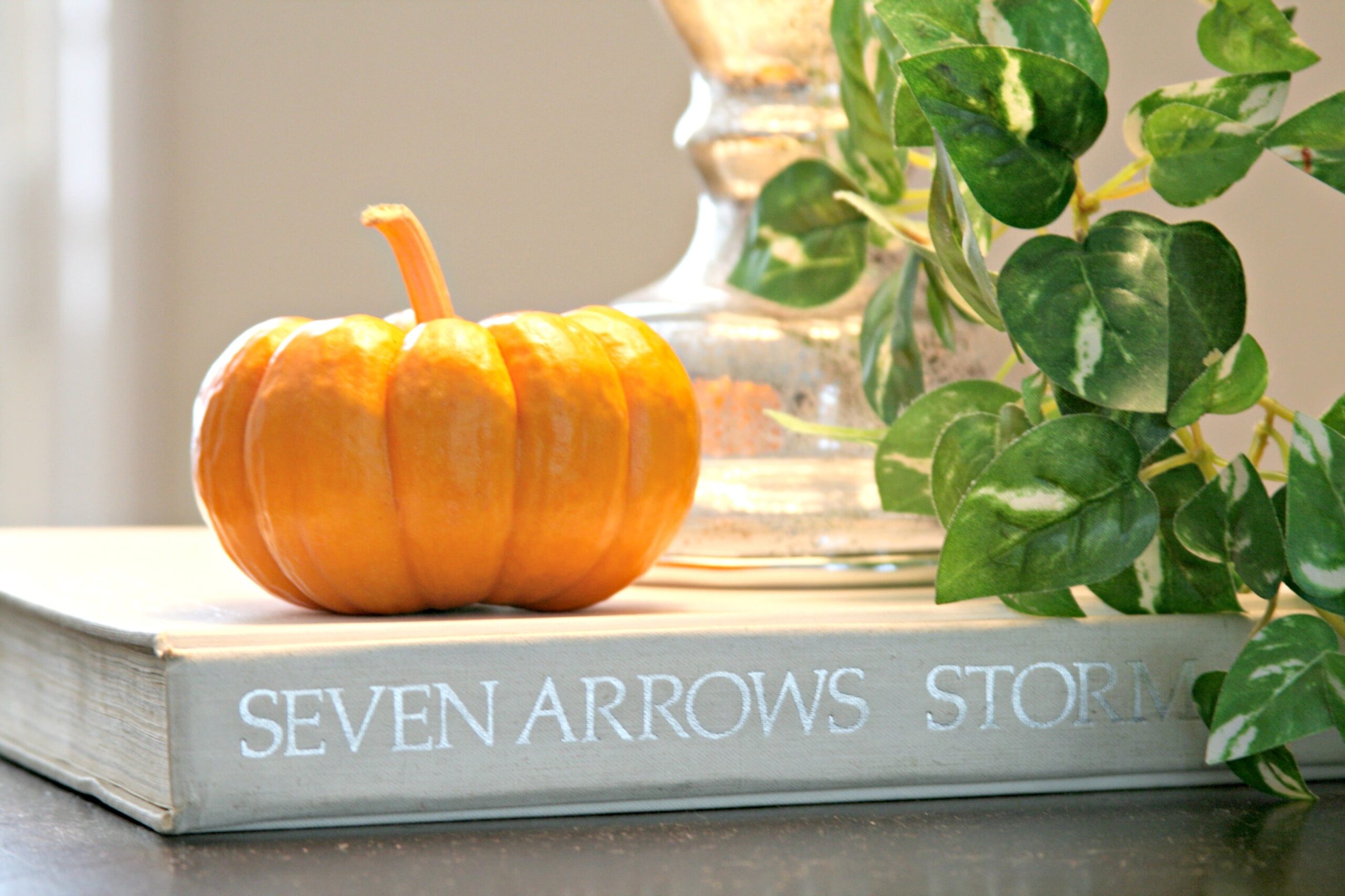 Best Decorating with Mini Pumpkins Ideas for the Fall