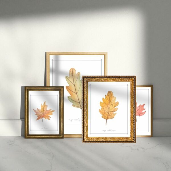 13 Free Fall Prinables to Fall Head Over Heals For LIFE ON SUMMERHILL