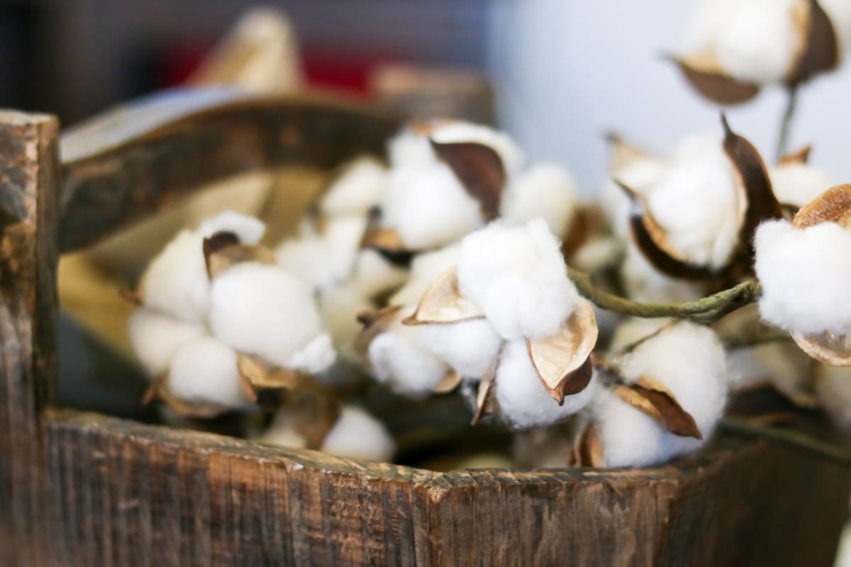6 Fantastic Ways to Decorate with Cotton and Cotton Decoration Ideas