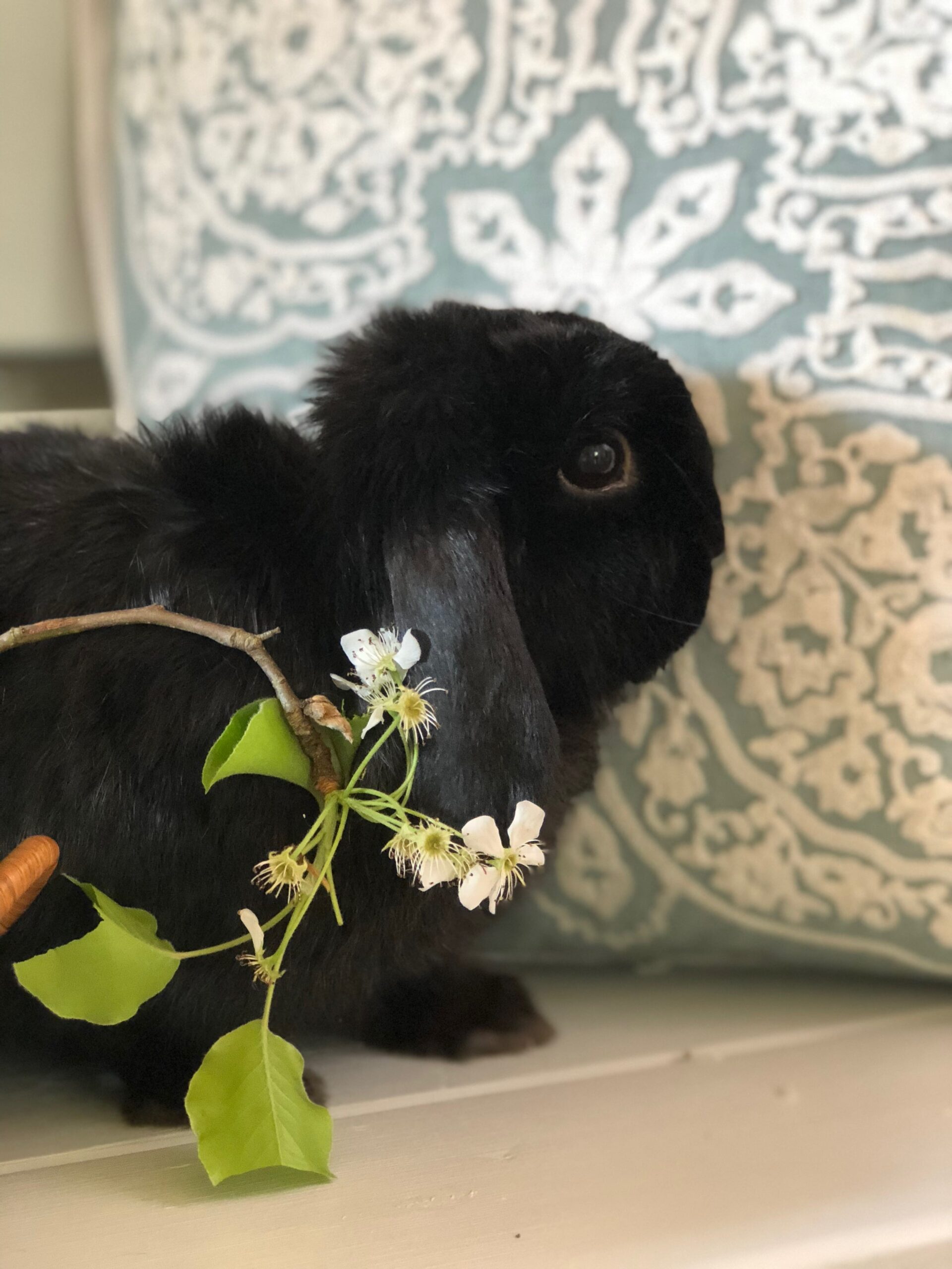 HOW TO ADD SPRING DECOR THAT WILL BRIGHTEN YOUR HOME LIFE ON SUMMERHILL