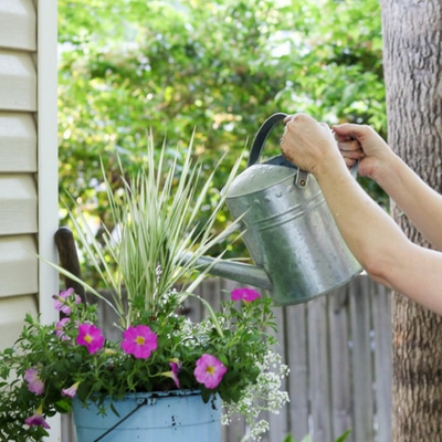 GARDEN Archives - LIFE ON SUMMERHILL