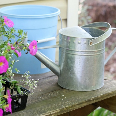 GARDEN Archives - Page 2 of 2 - LIFE ON SUMMERHILL