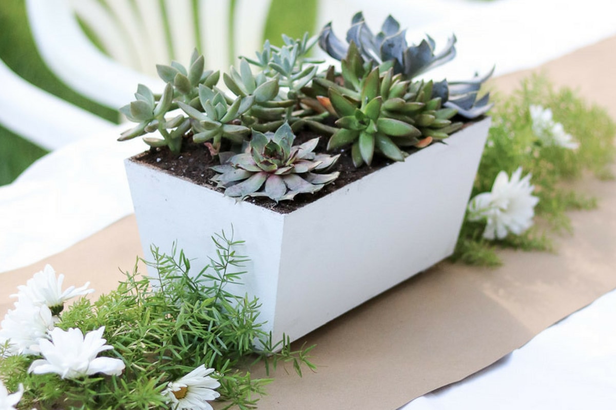 Event Planning Checklist for a Successful Outdoor Party Part Two