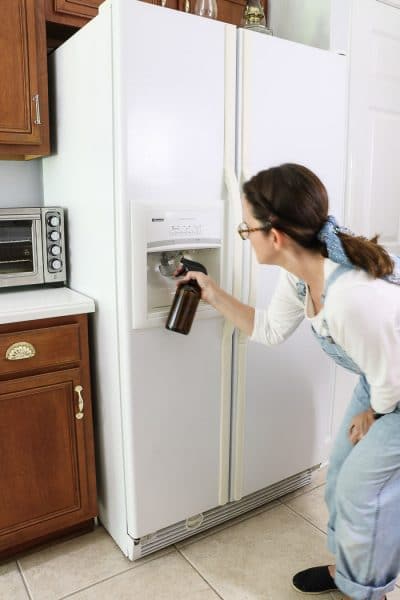 HOW TO CLEAN FRIDGE WATER DISPENSER AND ICE MAKER