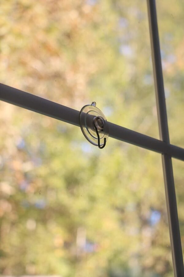 HOW TO HANG WREATHS ON WINDOWS WITH RIBBON