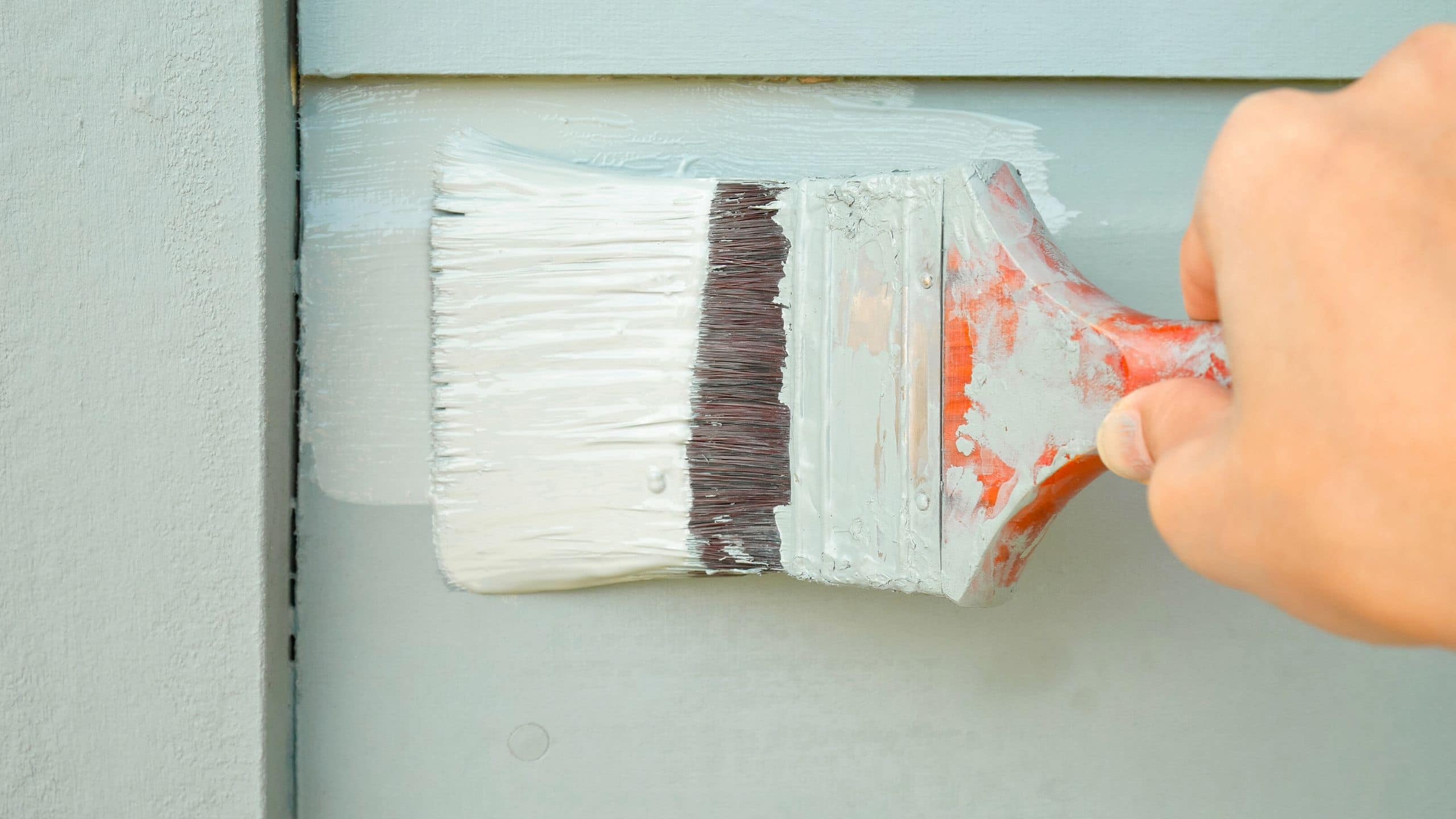 Most Popular Sherwin Williams Paint Colors to Paint Your Home