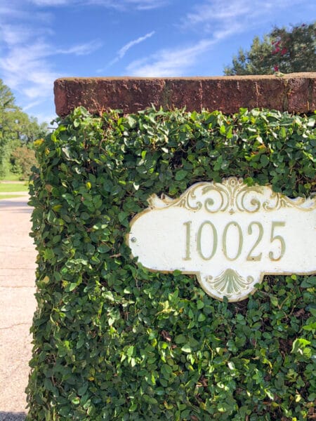 HOW TO MANICURE IVY ON YOUR HOME OR MAILBOX