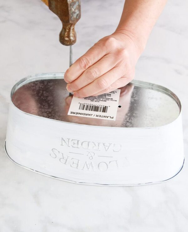 DOLLAR TREE DIY INDOOR HERB GARDEN DECORATION