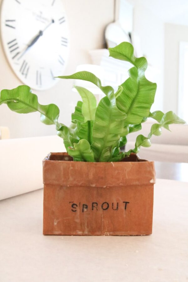 SIMPLE DIY PAPER BAG PLANTER LIFE ON SUMMERHILL