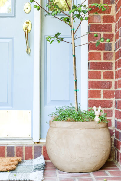 Unbelievably Easy Way to Create a Wood Bunny