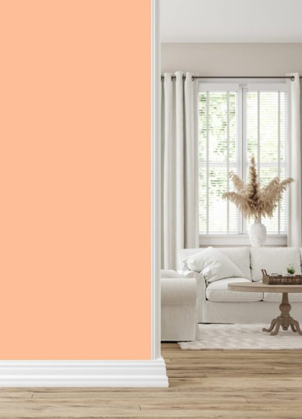 2024 Paint Color of the Year: A Palette of Possibilities for Your Home
