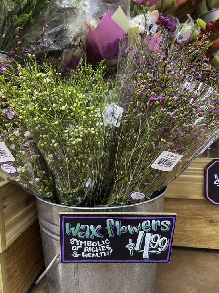 Comprehensive Guide to Trader Joe's Flowers