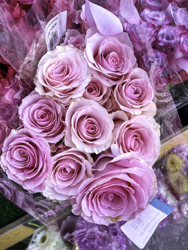 Comprehensive Guide to Trader Joe's Flowers