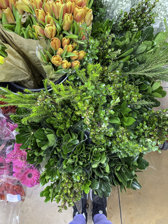 Comprehensive Guide to Trader Joe's Flowers