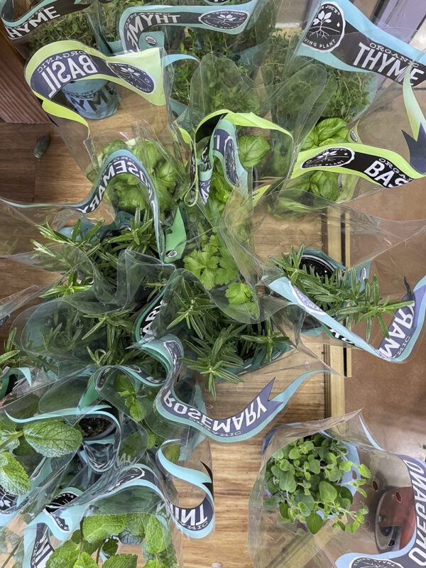 Comprehensive Guide to Trader Joe's Flowers