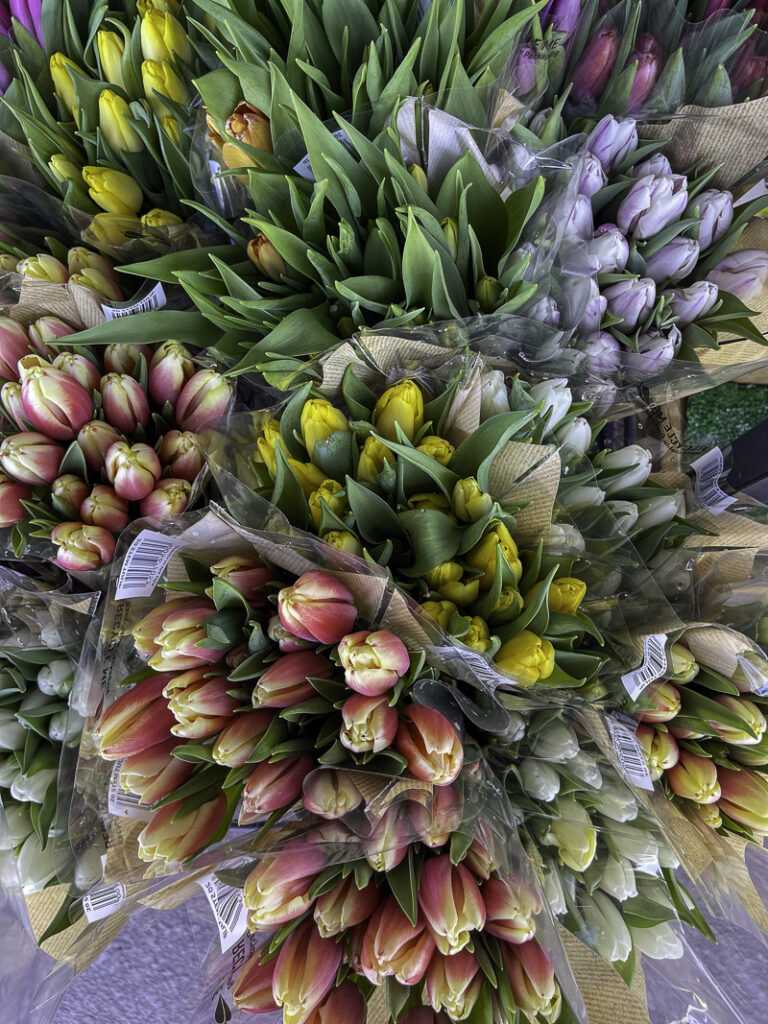 Comprehensive Guide to Trader Joe's Flowers