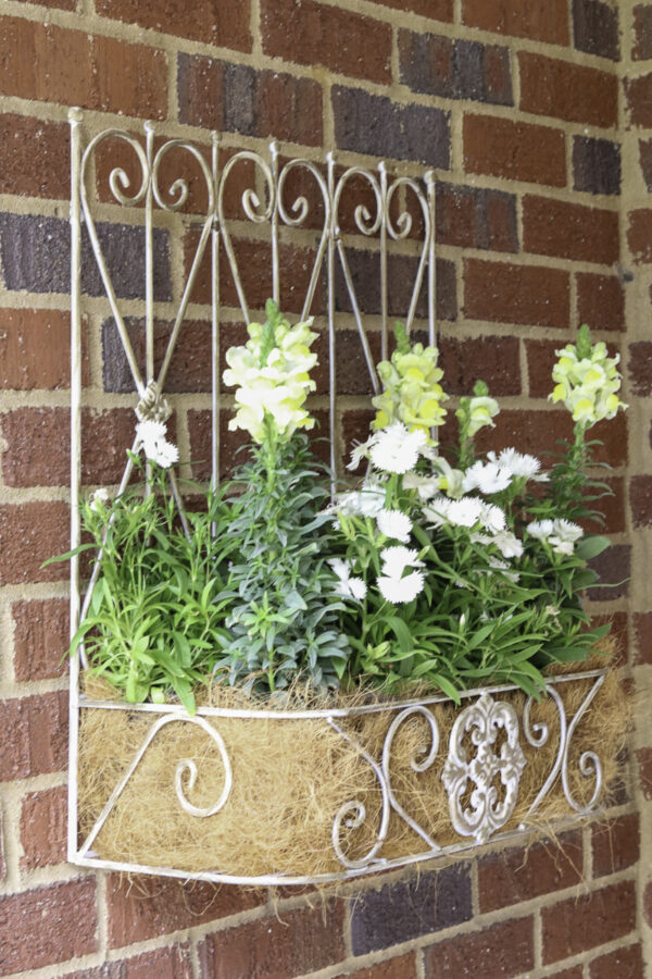 Enchanted Garden Bridal Shower