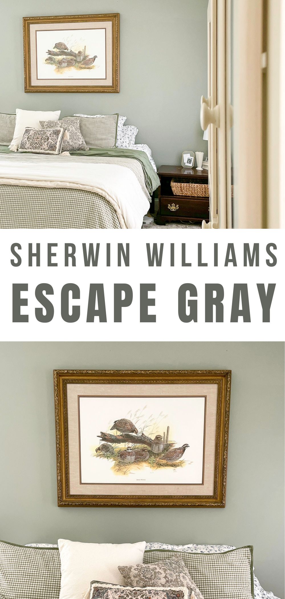 Sherwin Williams Escape Gray: The Perfect Nature-Inspired Hue