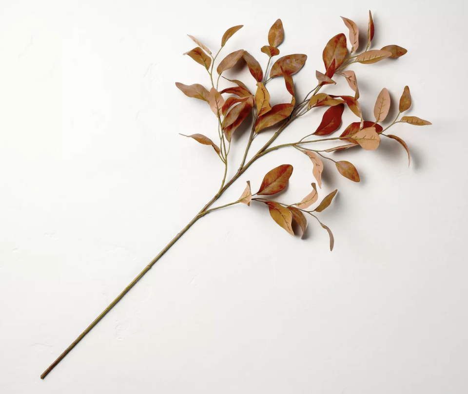 Refresh Your Home with Hearth and Hand Fall Decor 2024