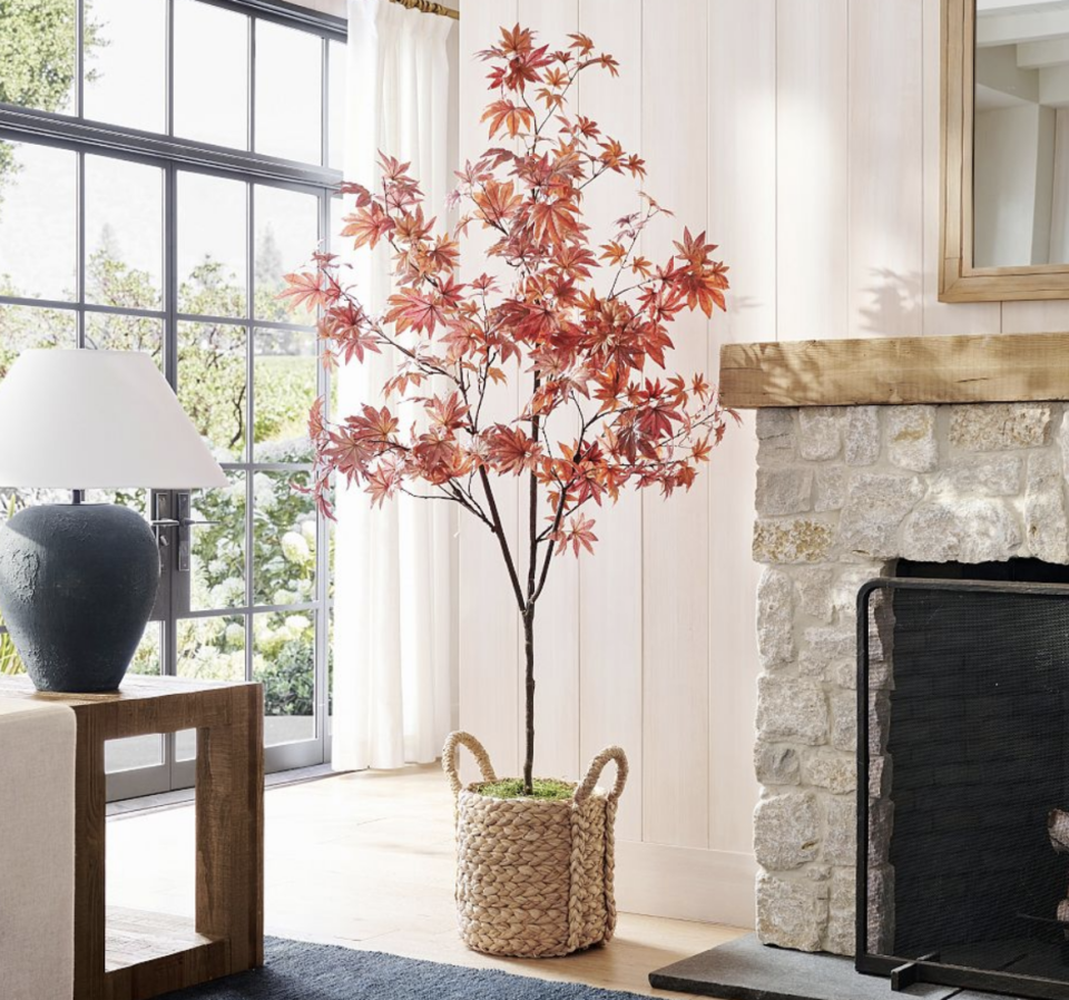 Top Pottery Barn Fall Trends You Need to Know