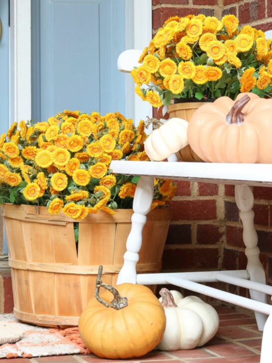 Easy Terracotta Pumpkin DIY - Pottery Barn Dupe