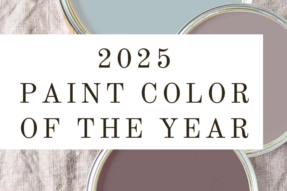 Paint Color of the Year 2025: A Sneak Peek at the Future of Home Decor
