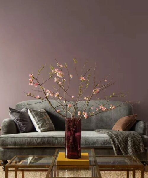 Paint Color of the Year 2025: A Sneak Peek at the Future of Home Decor
