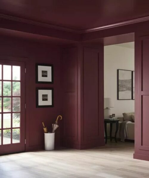 Paint Color of the Year 2025: A Sneak Peek at the Future of Home Decor