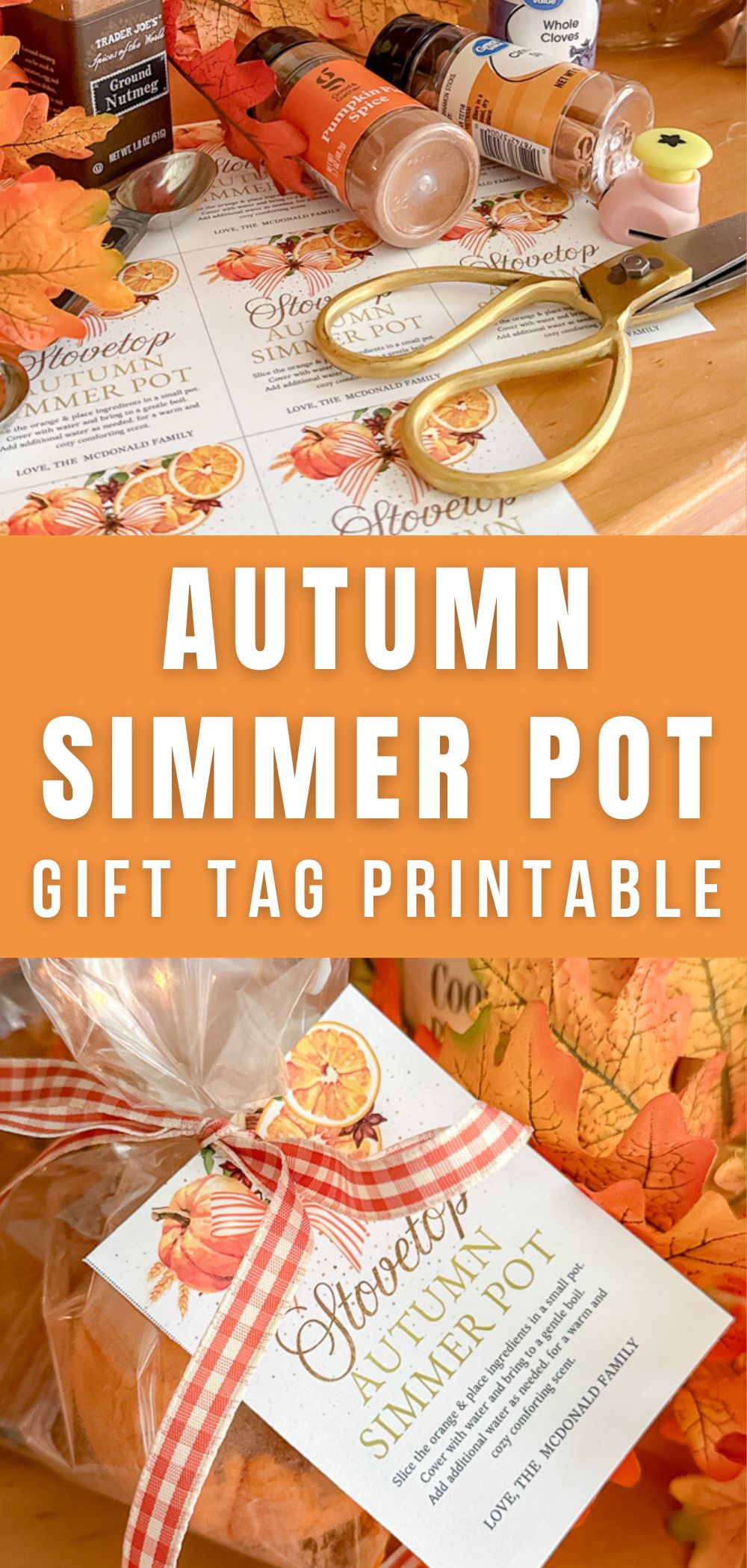 Pumpkin Spice Simmer Pot Recipe (Cozy Fall Stovetop Potpourri)