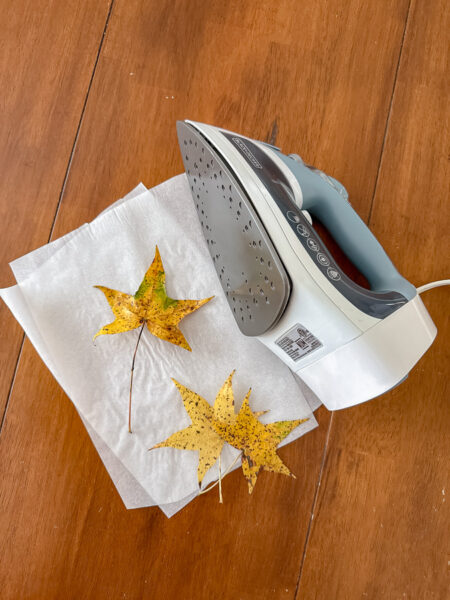 How to Press and Preserve Leaves for Crafts and Decor
