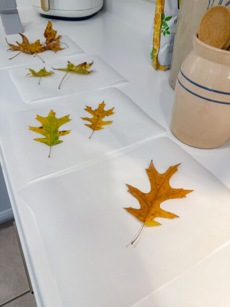 How to Press and Preserve Leaves for Crafts and Decor