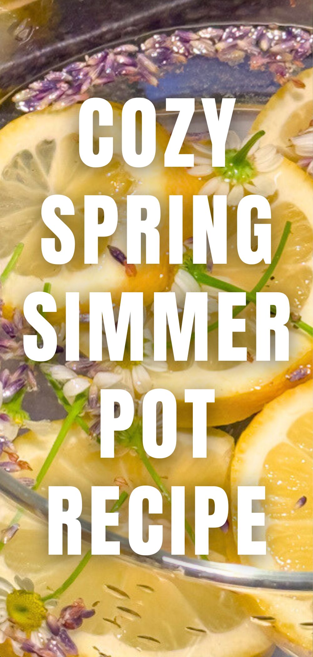 Spring Simmer Pot Recipe for a Fresh and Cozy Home